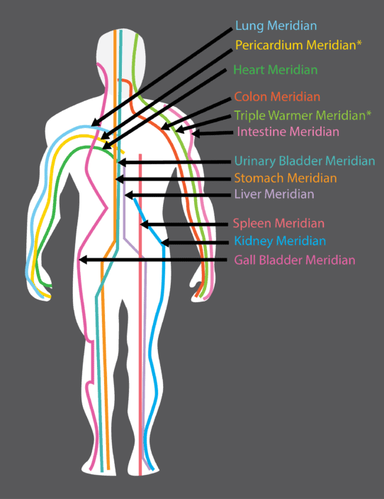 Understanding Shiatsu Meridians - SHI Macrobiotics