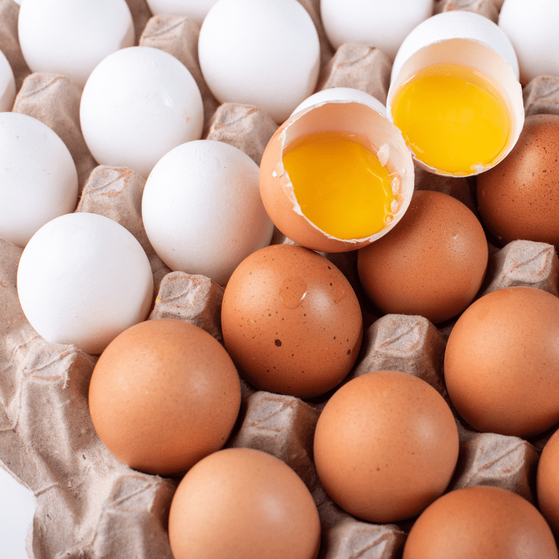 Are Eggs Macrobiotic? - SHI Macrobiotics | Health Blog